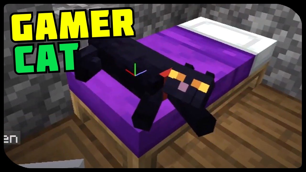 EPIC GAMER CAT | Let's Play Minecraft 1.15 #23 - YouTube