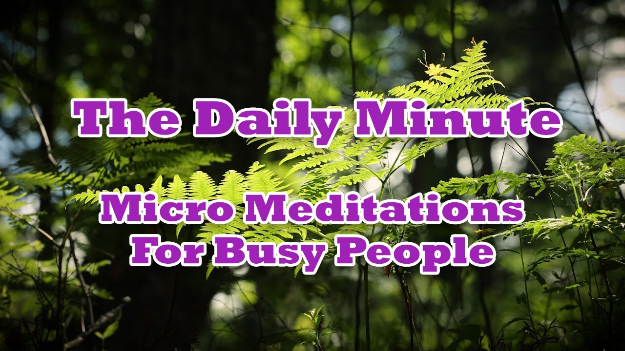 Mindfulness Meditation #82 - The Daily Minute - Micro Meditations for ...