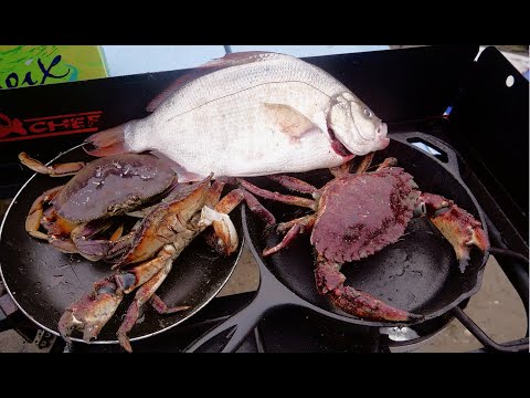 Beach Fishing CATCH AND COOK Fish and Crab! 🐠🦀 | Northern California ...