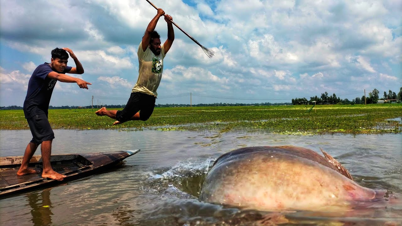 Amazing Village Natural Teta/Kotch Fishing In Flood Water🤩Smart Boy ...