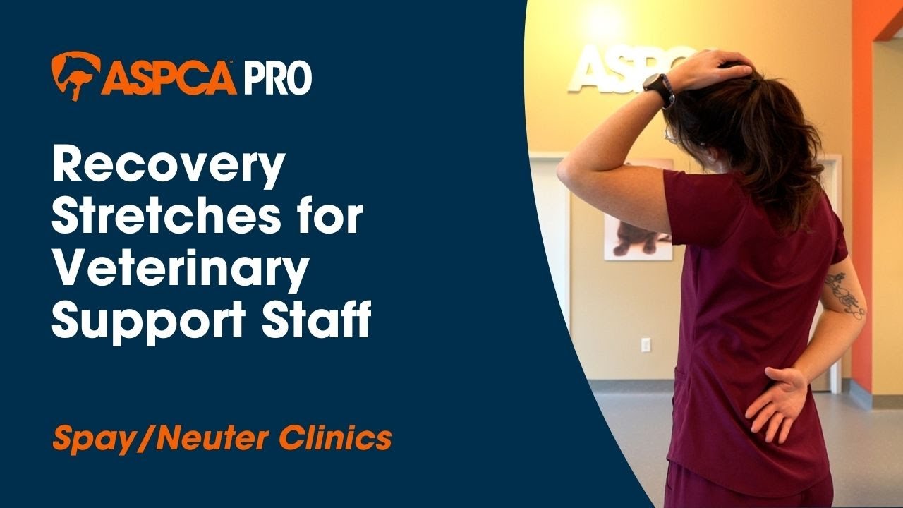 Spay/Neuter Staff Ergonomics: Recovery Stretches for Veterinary Staff ...