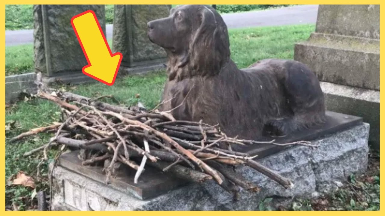 The Ancient Grave of a Beloved Dog Still Receives an Unexplained ...