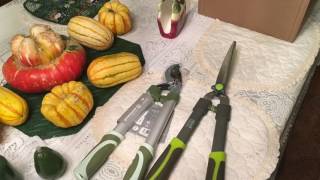 Sears Gardening Tool Haul and Tree Trim