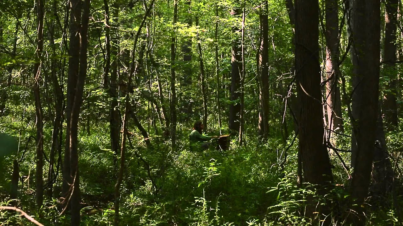 Dustin Murdock - Live from the Forest Cathedral - YouTube