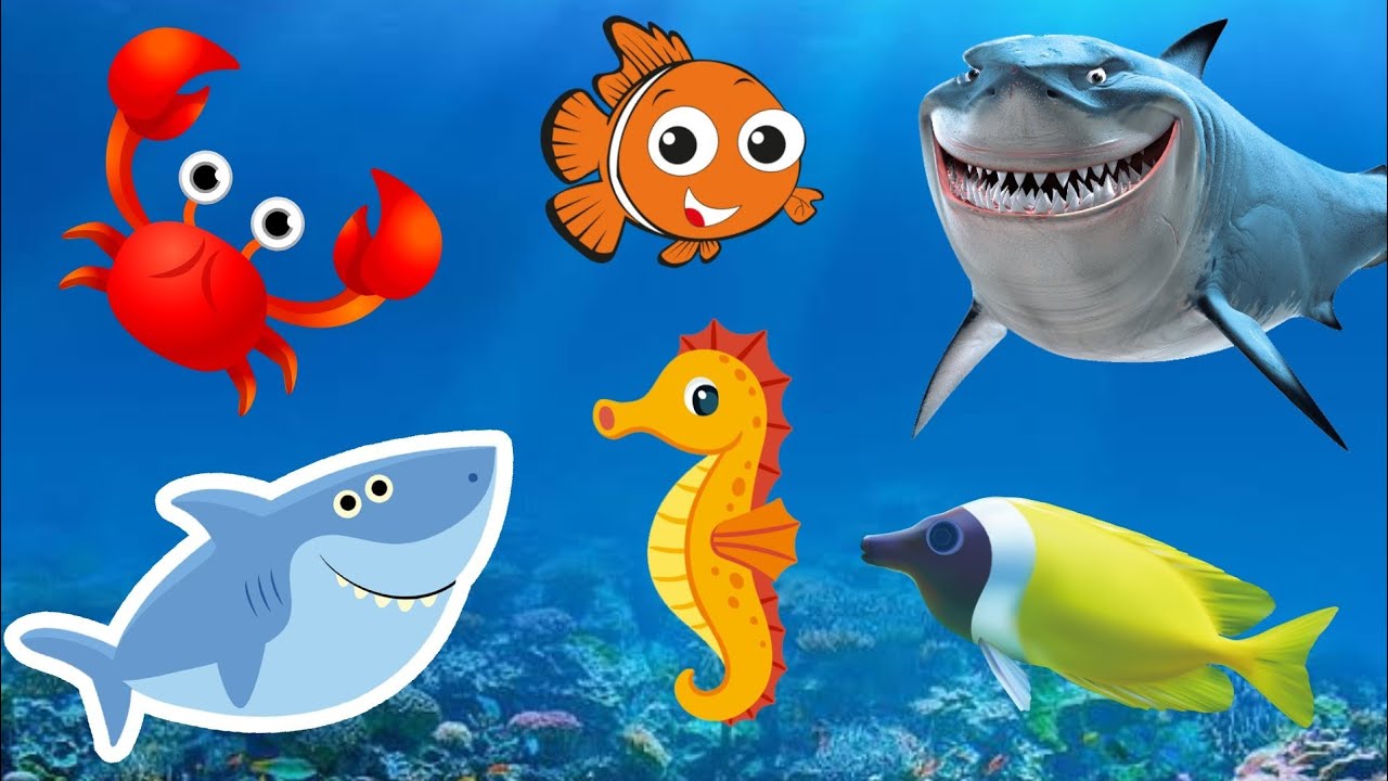 Baby Shark kids Dance under seaworld , Baby Shark doo doo doo, Nursery ...