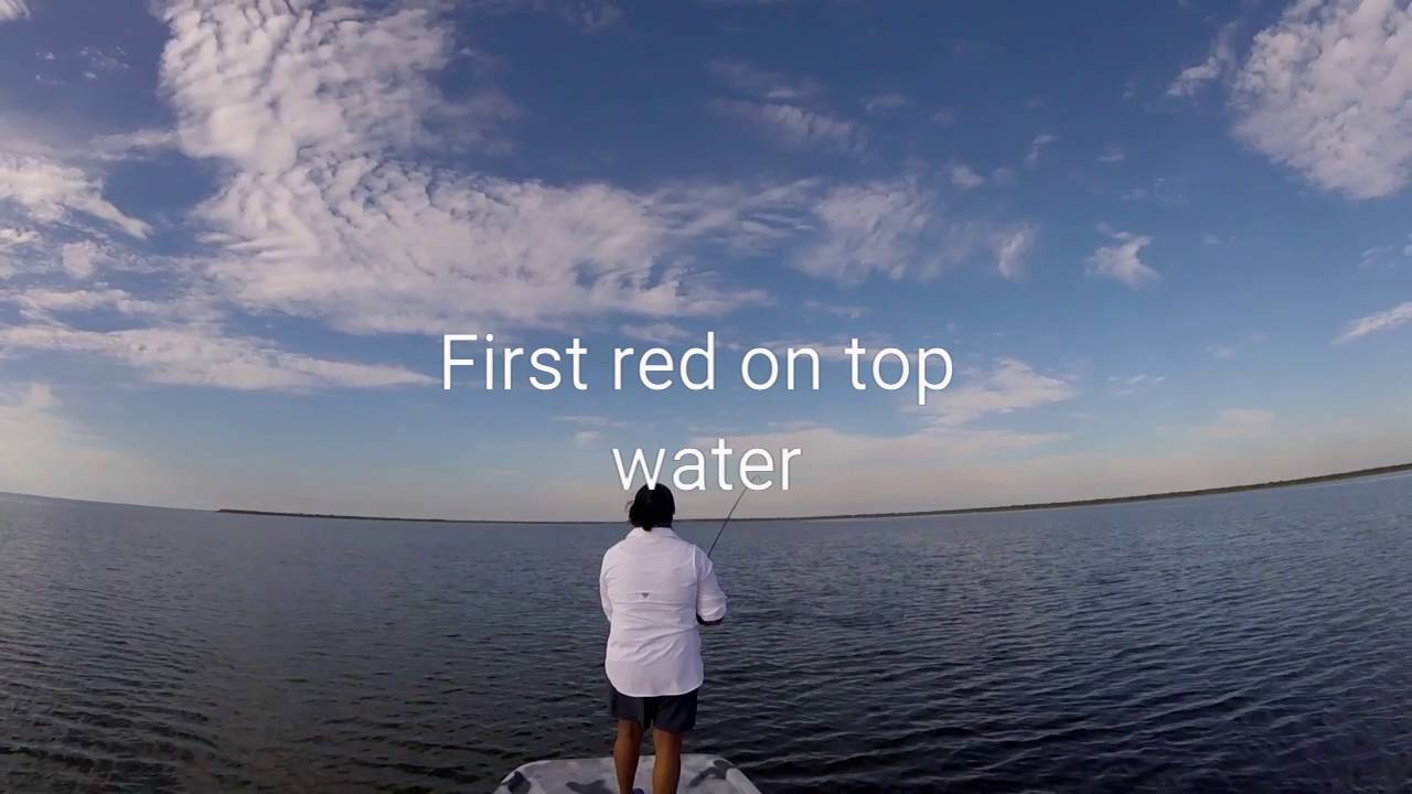Awsome day of fishing 10-1-16 - YouTube