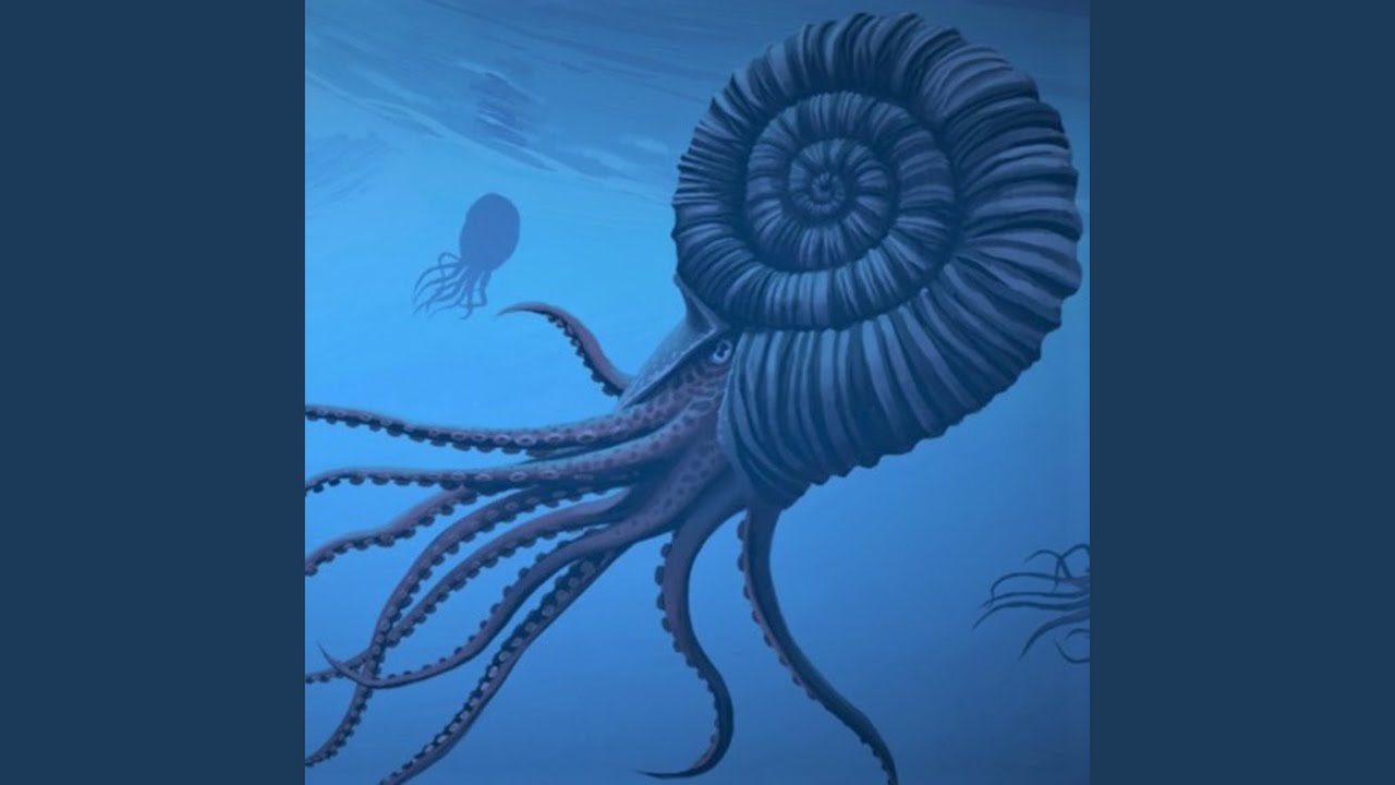 Make Yourself Comfortable - YouTube