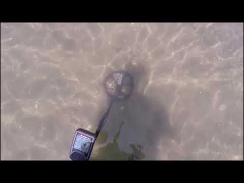 Nokta Makro Legend Saltwater Beach Metal Detecting - YouTube