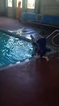 Bentley learning how to dive - YouTube