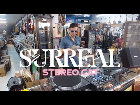 SURREAL x Musician Discount Center - STEREO CAT at "Surreal on Vinyl" 2 ...