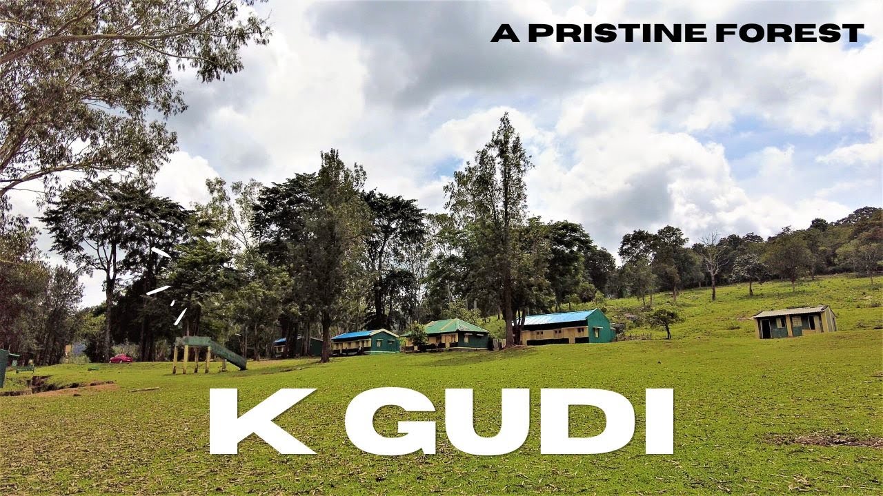 K Gudi Essential Info | ಕ್ಯಾತದೇವರಗುಡಿ | BR Tiger Reserve Jungle Safari ...