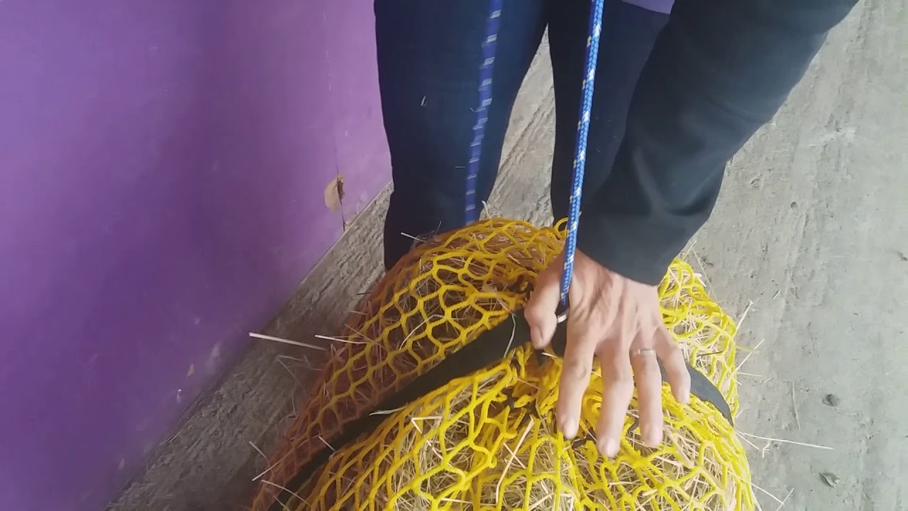 How to hang a Nibbleze net for eating off the ground - YouTube