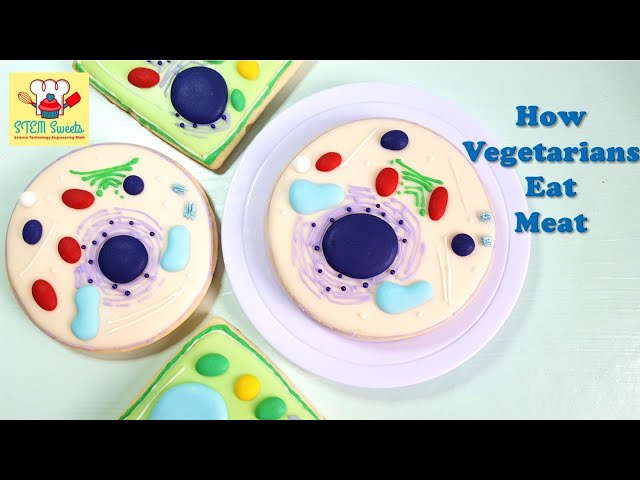 Edible Cell Project Cookie Cake