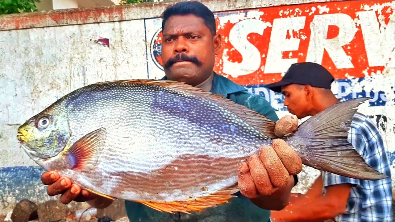 SELVAM # 4KG $9 KOLI FISH - YouTube