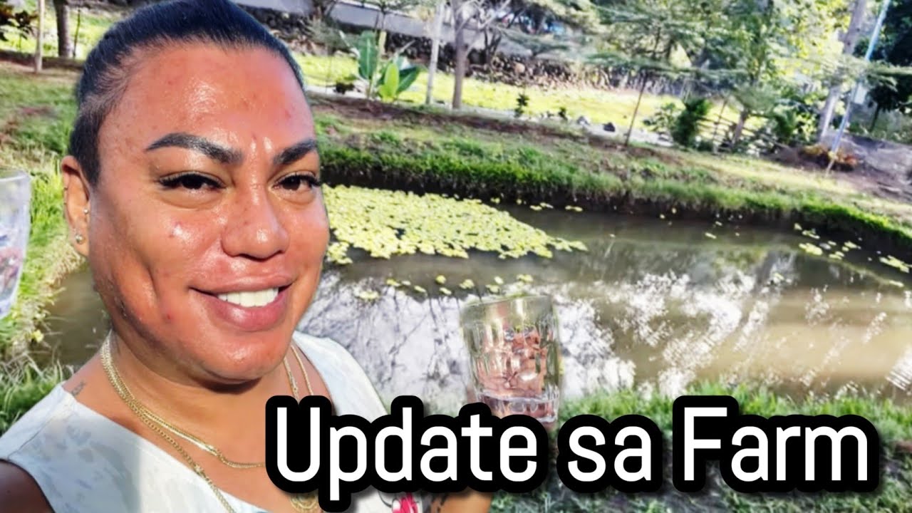 Nee project : update sa Farm. - YouTube