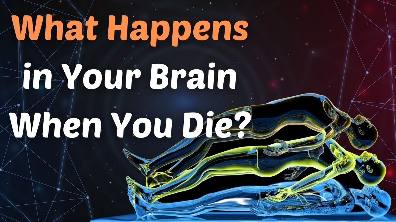 Unlocking the Secrets of the Dying Brain: A Surprising Discovery - YouTube