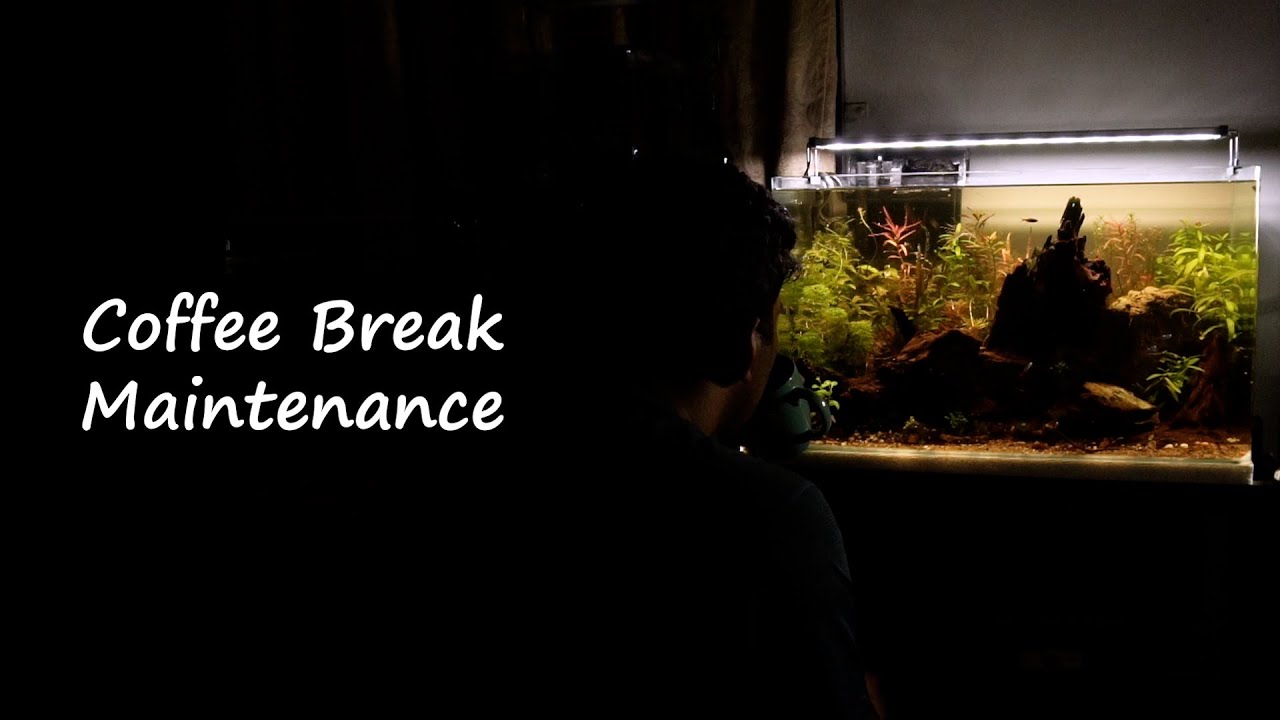 Quick Maintenance Session - Late Night Decompressing - - YouTube