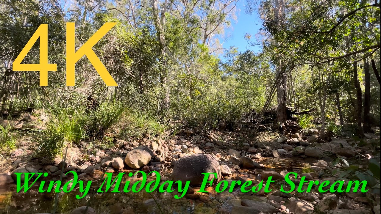 Windy Winter Midday Forest Stream - Listen to the Motion of the Wind in ...