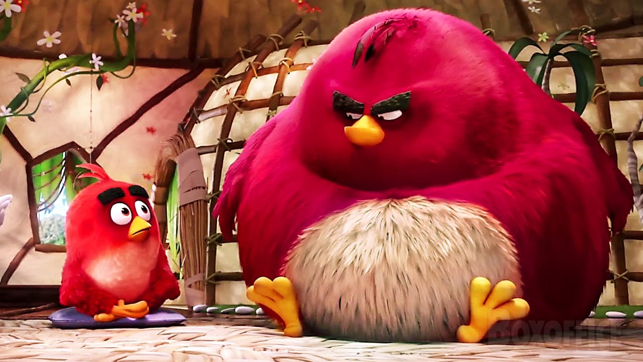 La thérapie de groupe avec Big Bird | Angry Birds: Le film | Extrait VF ...