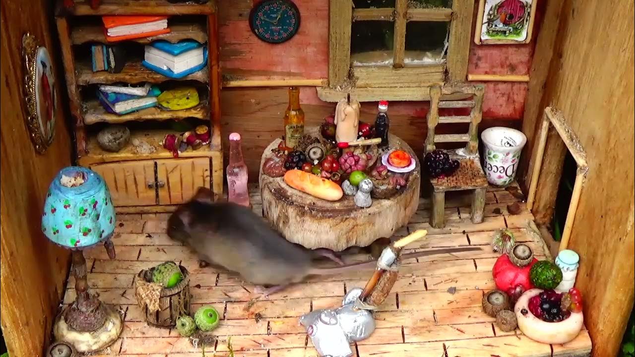 inside the mouse house - YouTube