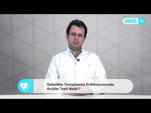 Gebelikte Toxoplasma Enfeksiyonunda Avidite Testi Nedir?