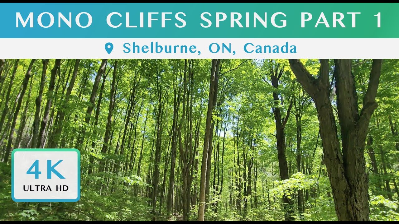 4K Virtual Nature Walk in Spring | Mono Cliffs Part 1 - To the Pond We ...