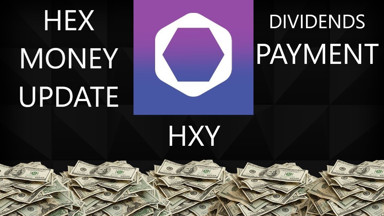 Hex Money (HXY) - Dividends Update And Withdraw - YouTube