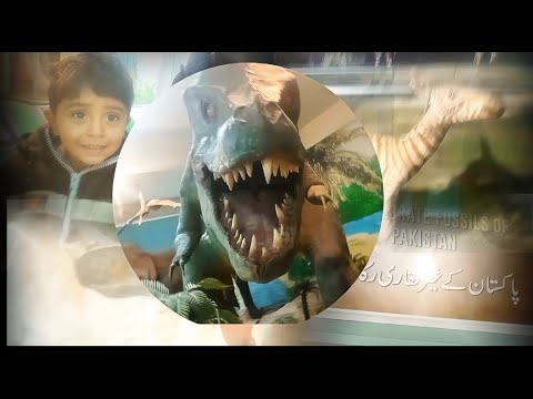 From Fossils to Wildlife: A Deep Dive into Pakistan’s Natural History ...
