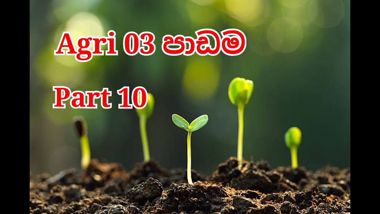 Agri lesson 03 soil Part-10 - YouTube
