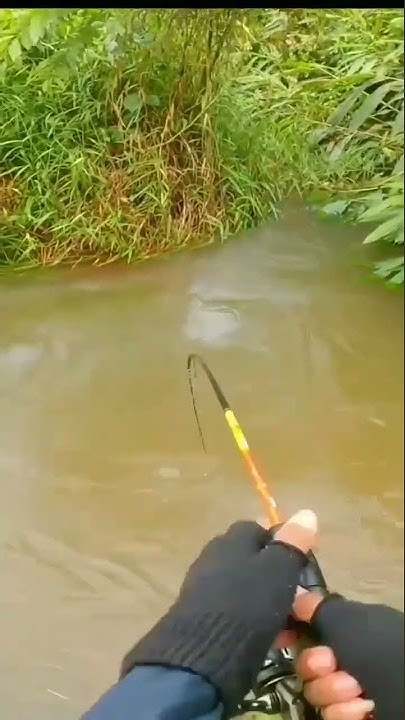 MANCING IKAN DI GORONG-GORONG SUNGAI DAPETNYA MONSTER - YouTube