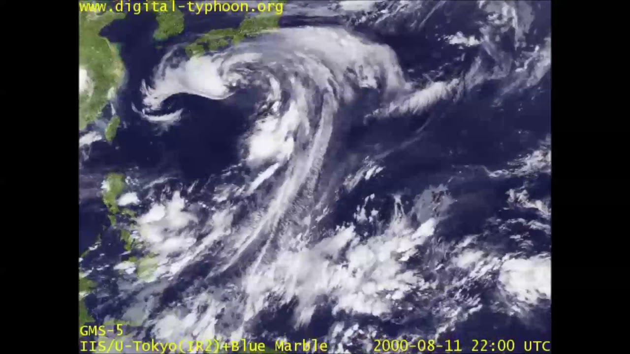 2000 Pacific typhoon season - YouTube