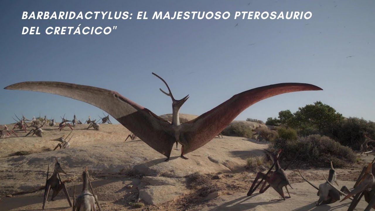 Barbaridactylus El Majestuoso Pterosaurio del Cretácico - YouTube