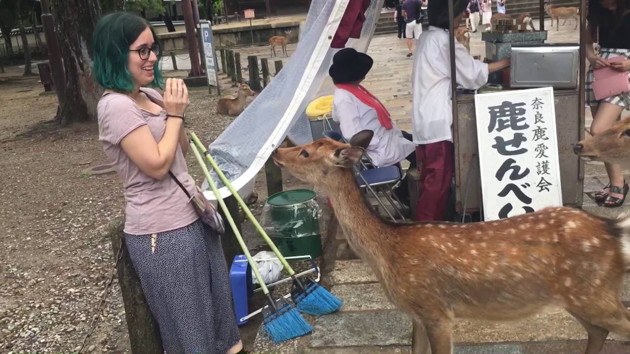 Japan Survival Game: Deers of Nara edition - YouTube