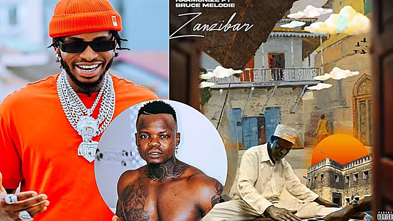 WCB Waukosoa Vibaya WIMBO wa HARMONIZE "Zanzibar" Waongea MAZITO ...