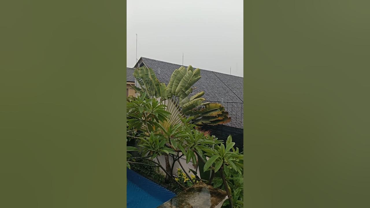 Why does it rain so much in Sanur, Bali? ⛈️ - YouTube