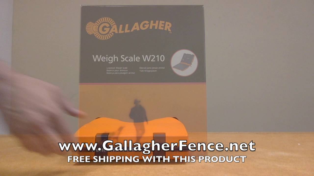 Gallagher W210 Weigh Scale - YouTube