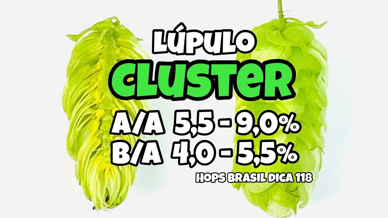 LÚPULO CLUSTER - HOPS BRASIL DICA 118 - YouTube
