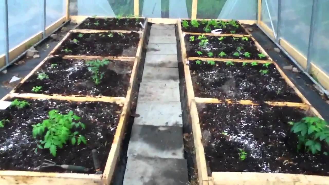 Polytunnel gardening - YouTube