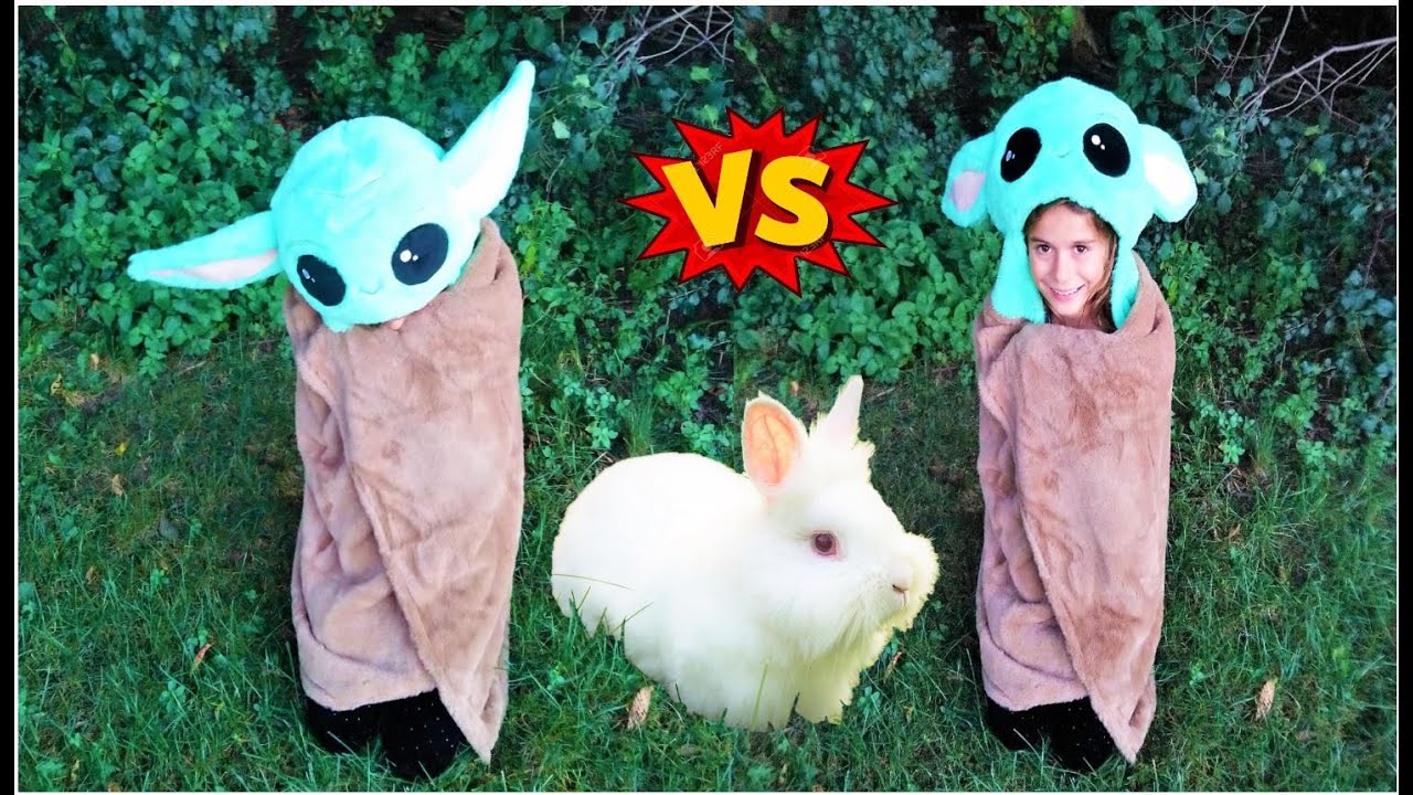 Baby YODA vs White Bunny | Mandalorian | Star Wars | Hunting LionHead ...