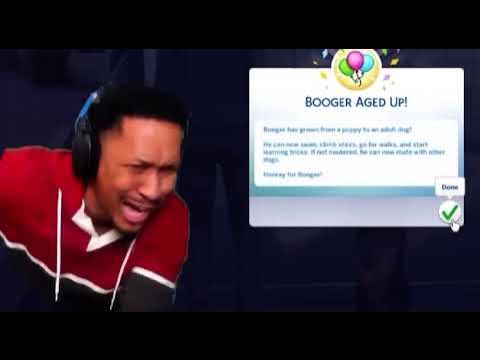 This dude always falling off his chair @berleezy - YouTube