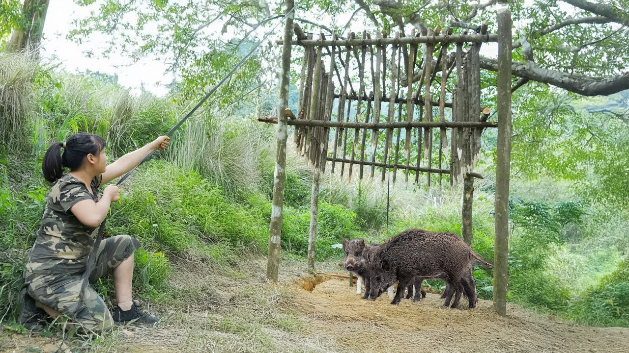 The Art of Wild Boar Trapping: Setting the Stage for a Successful Hunt ...