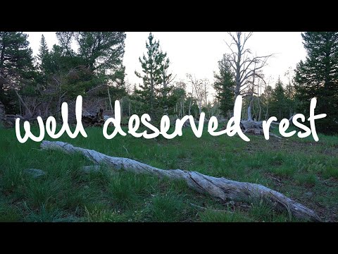 well deserved rest🌲instrumental country mix for work study relax🎵fresh ...