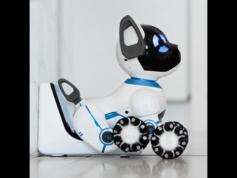 How Does Chip the Robot Dog Work - YouTube
