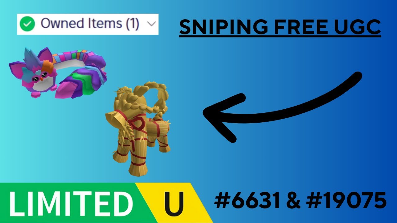 Sniping Two Amazon Items #amazon #19075 & #6631 - YouTube