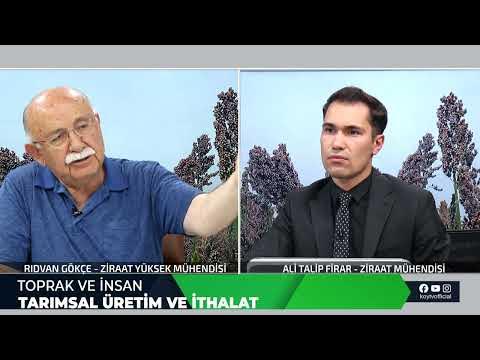 TARIMSAL ÜRETİM VE İTHALAT | TOPRAK VE İNSAN - YouTube