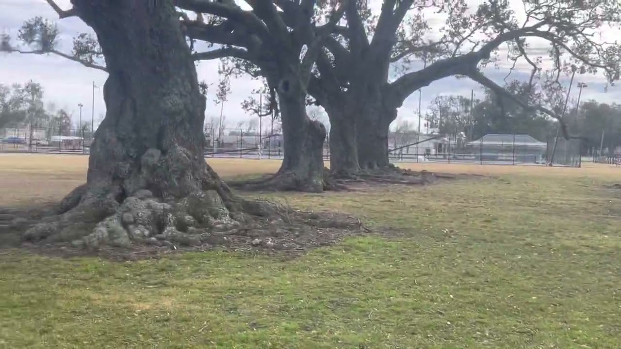 Monsanto park in Luling LA - YouTube