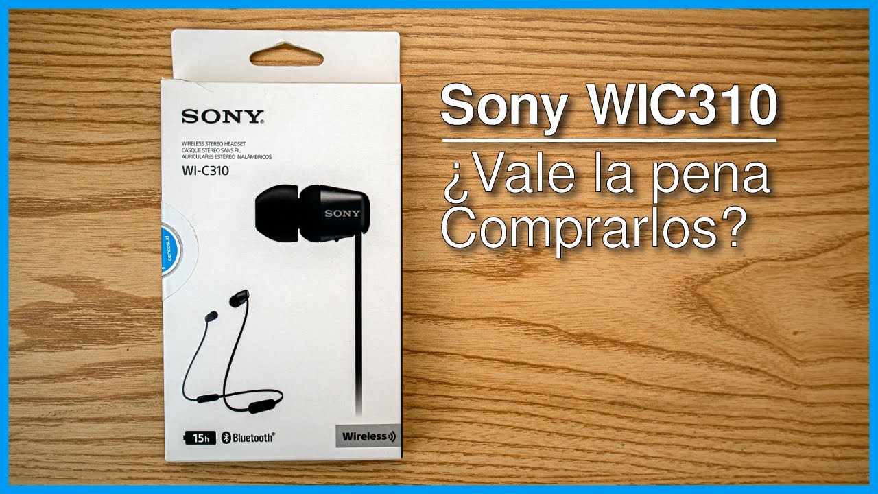 SONY WI 310 | REVIEW - YouTube