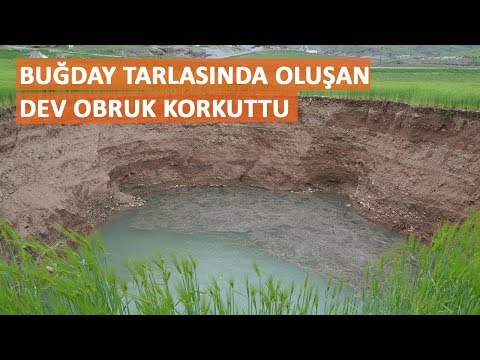 Buğday tarlasında oluşan dev obruk korkuttu