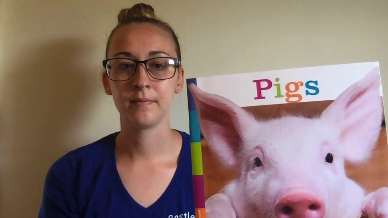 FRIDAY May 22: Pigs - YouTube