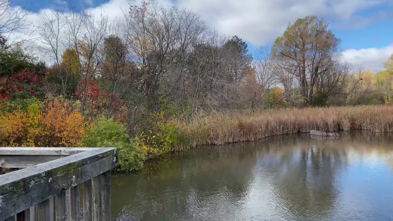 Toogood pond park Markham - YouTube